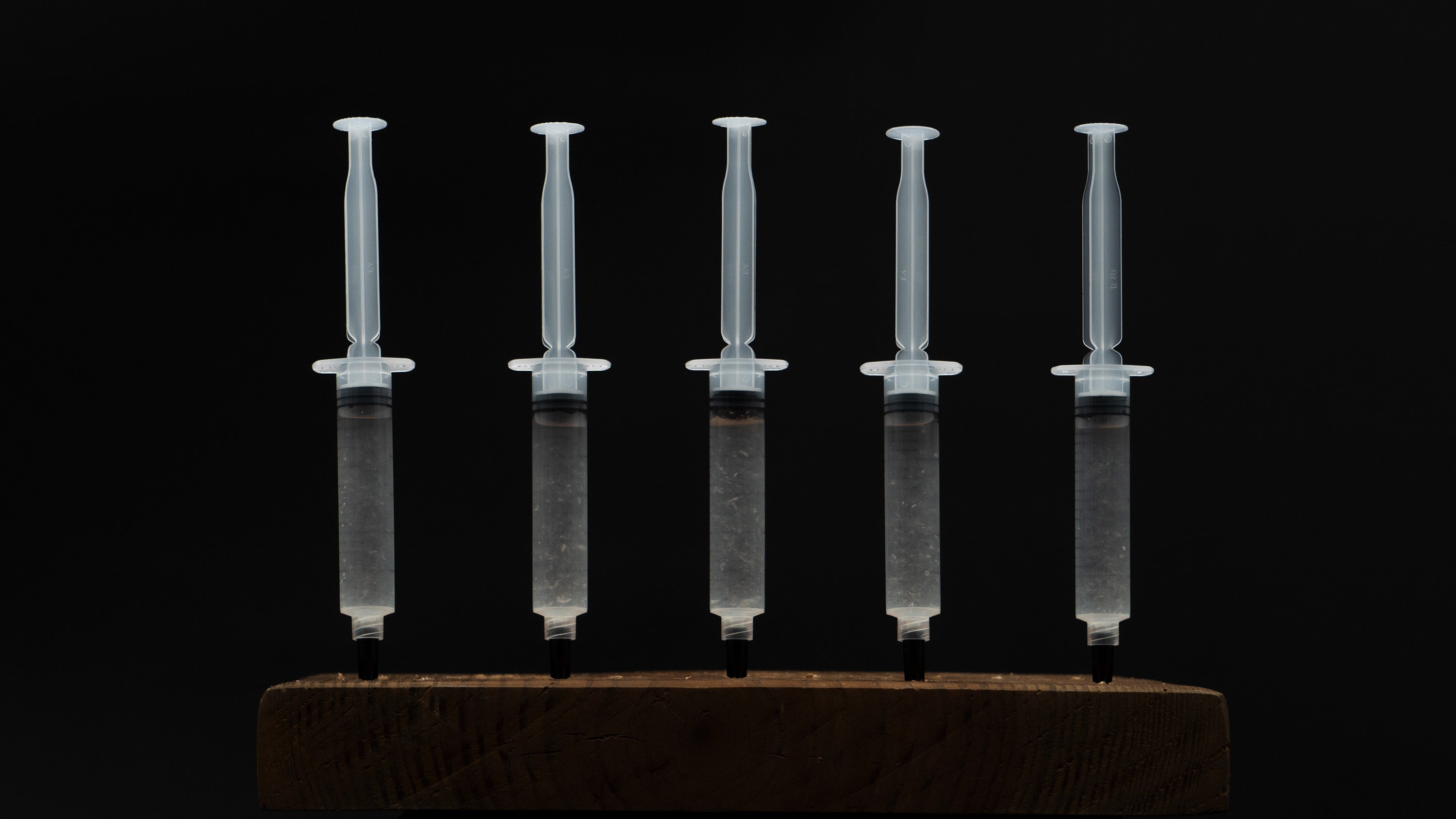 What’s the difference between Spores and Liquid Culture? – Bonsai Mushrooms